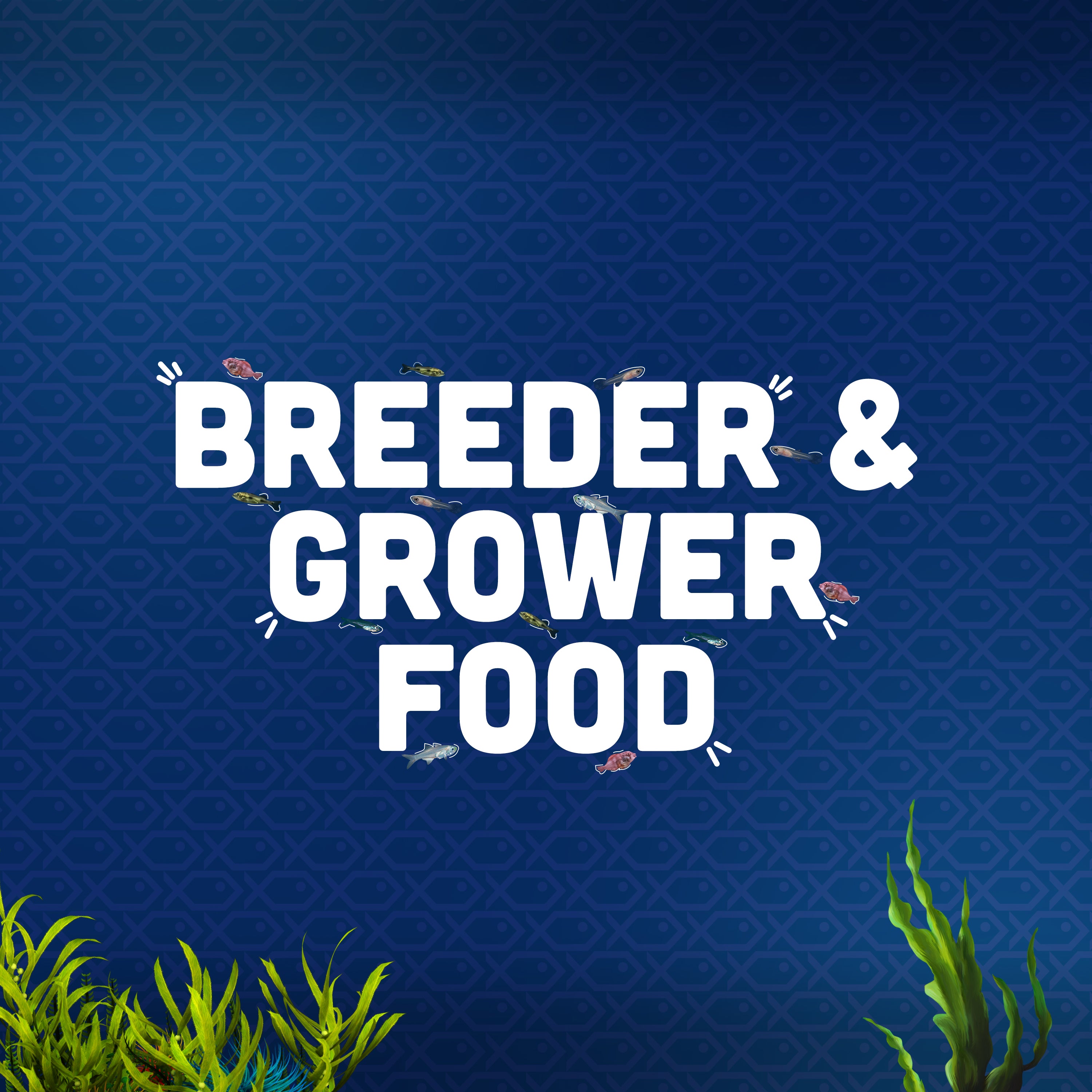 Breeder & Grower – Intan Growel