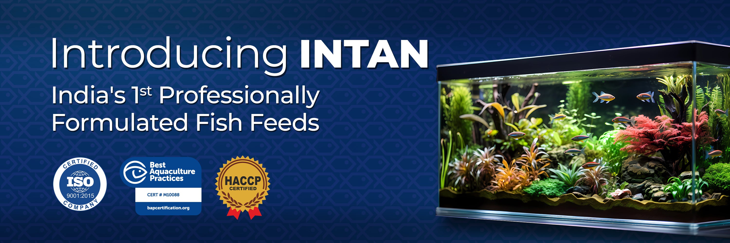 Intan by Growel Feeds | Professionally Formulated Ornamental Fish Feed ...