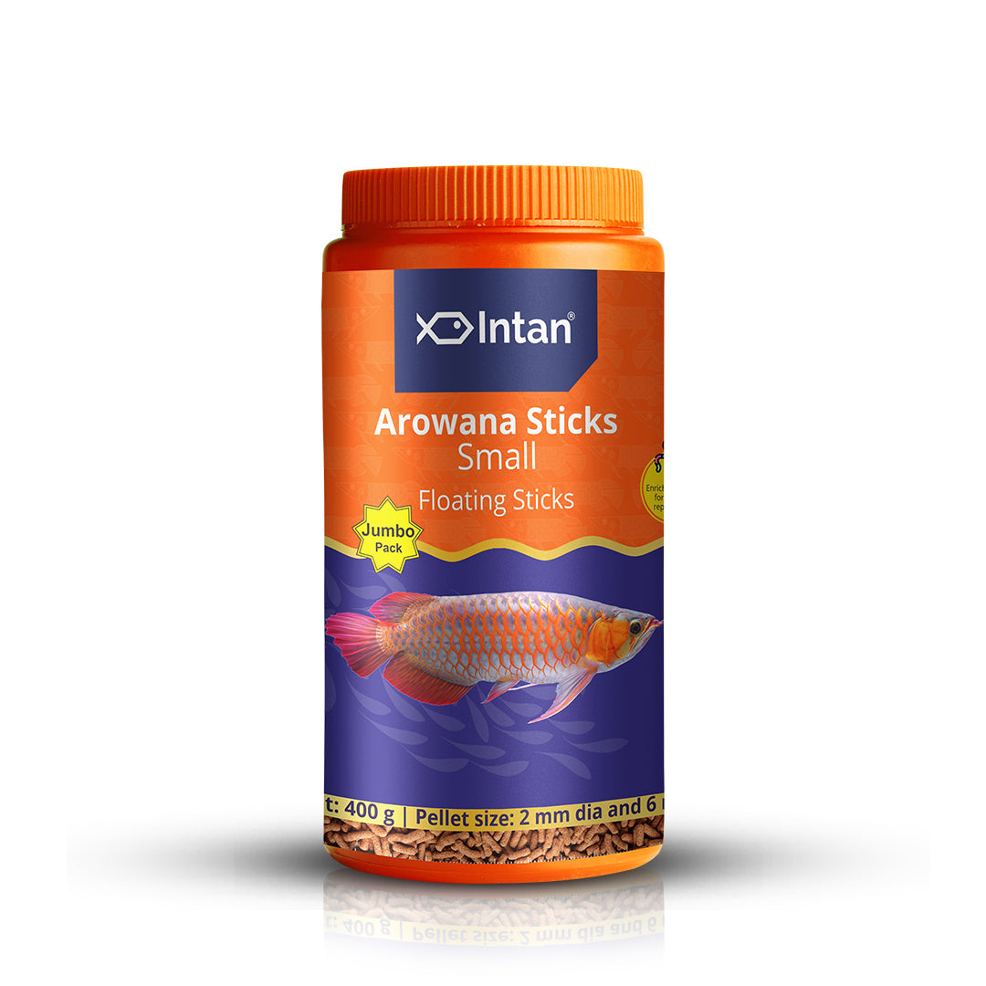 Growel Intan Arowana Sticks (Small) | Ornamental Fish Food – Intan Growel