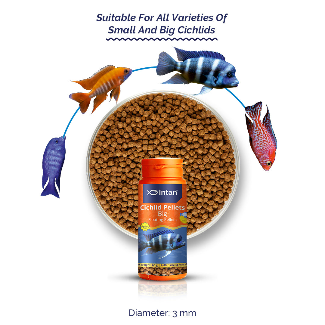 Growel Intan Cichlid Pellets (Big) | Ornamental Fish Food – Intan Growel