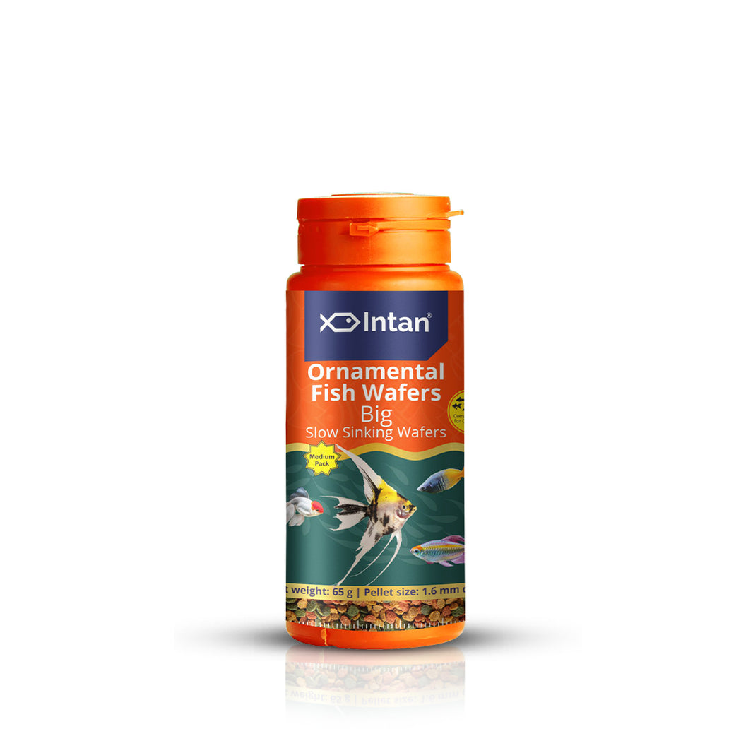 Intan by Growel Feeds | Professionally Formulated Ornamental Fish Feed ...